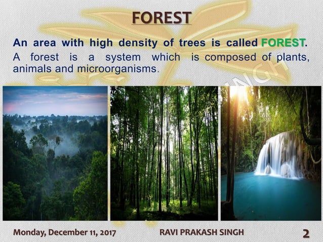 Forest class 7 | PDF | Science