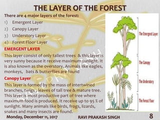 Forest class 7 | PDF