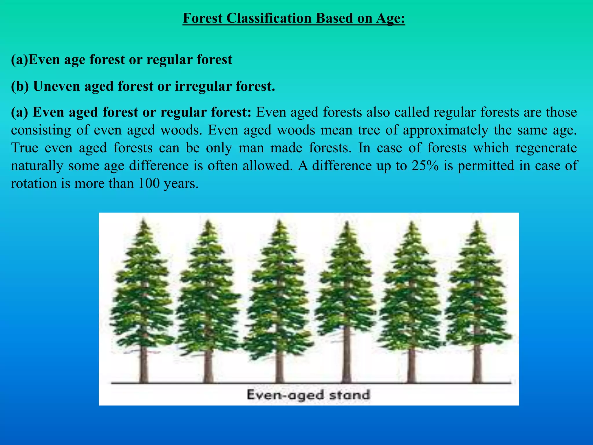 Forest classification | PPT