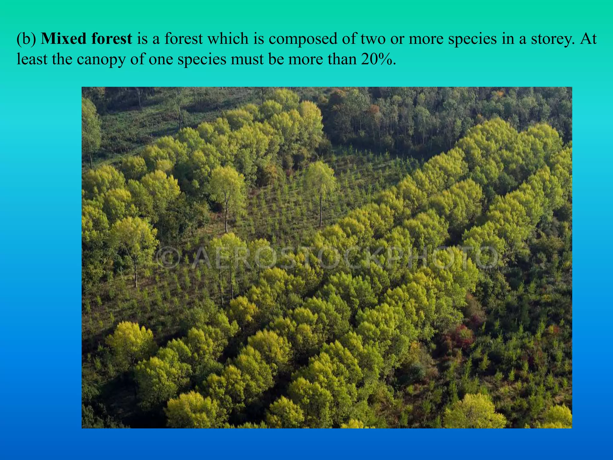Forest classification | PPTX
