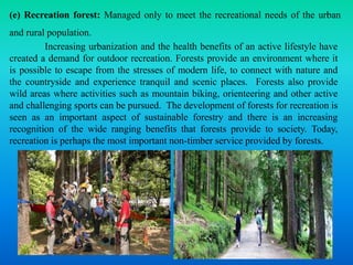 Forest classification | PPTX