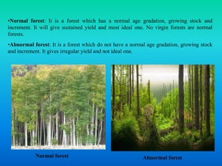 Forest classification | PPTX