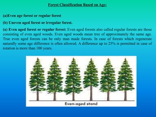 Forest classification | PPTX