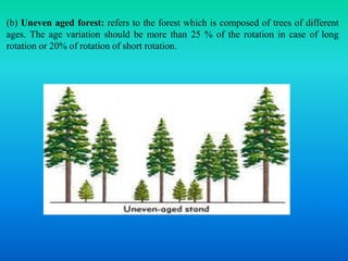 Forest classification | PPTX