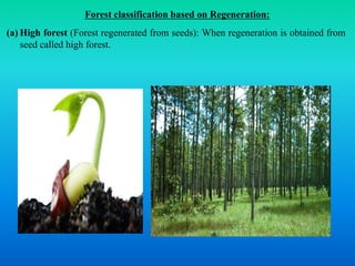 Forest classification | PPTX