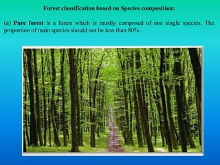 Forest classification | PPTX