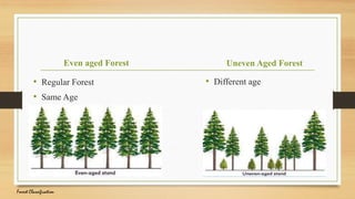 Forest Classification and objective .pdf