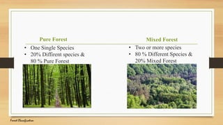 Forest Classification and objective .pdf