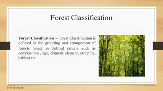 Forest Classification and objective .pdf