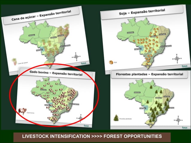 Brazilian Forests: back to landscapes? Challenges and Strategies for ...