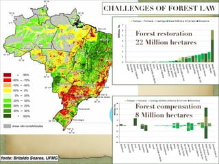 Brazilian Forests: back to landscapes? Challenges and Strategies for ...
