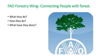 Forest communications | PPT