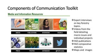 Forest communications | PPT