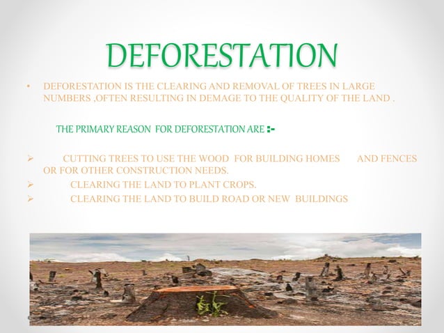 Forest conservation | PPTX