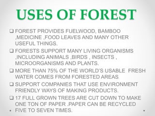 Forest conservation | PPTX