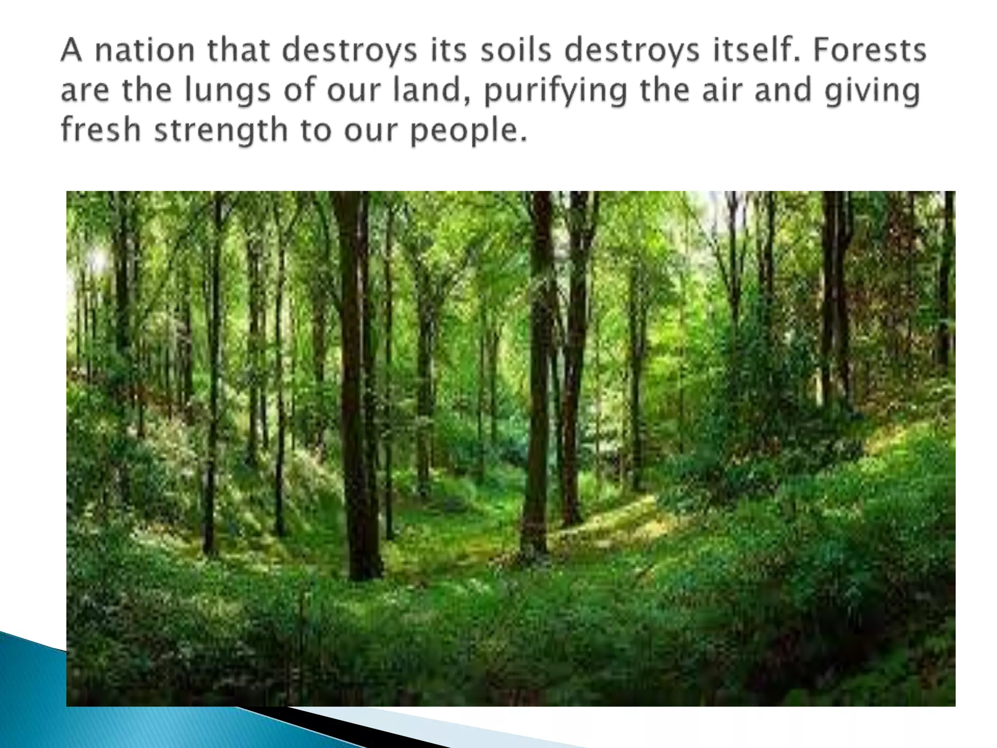 Forest conservation act, 1980 | PPTX