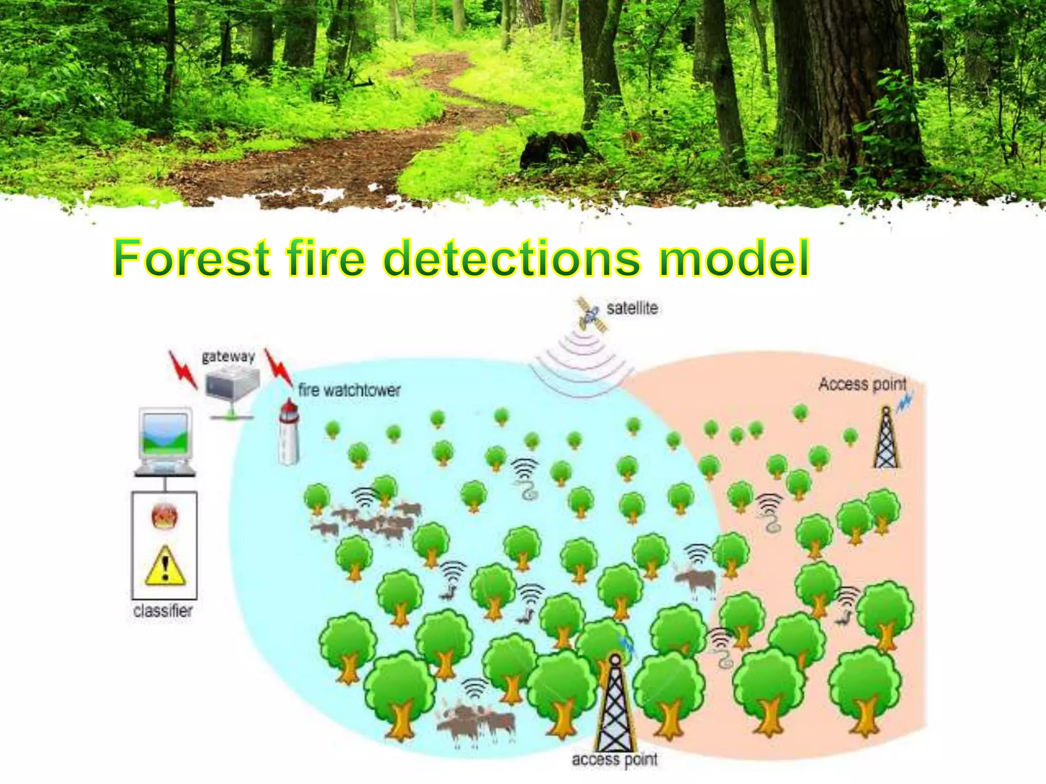 Forest conservation methods | PPT
