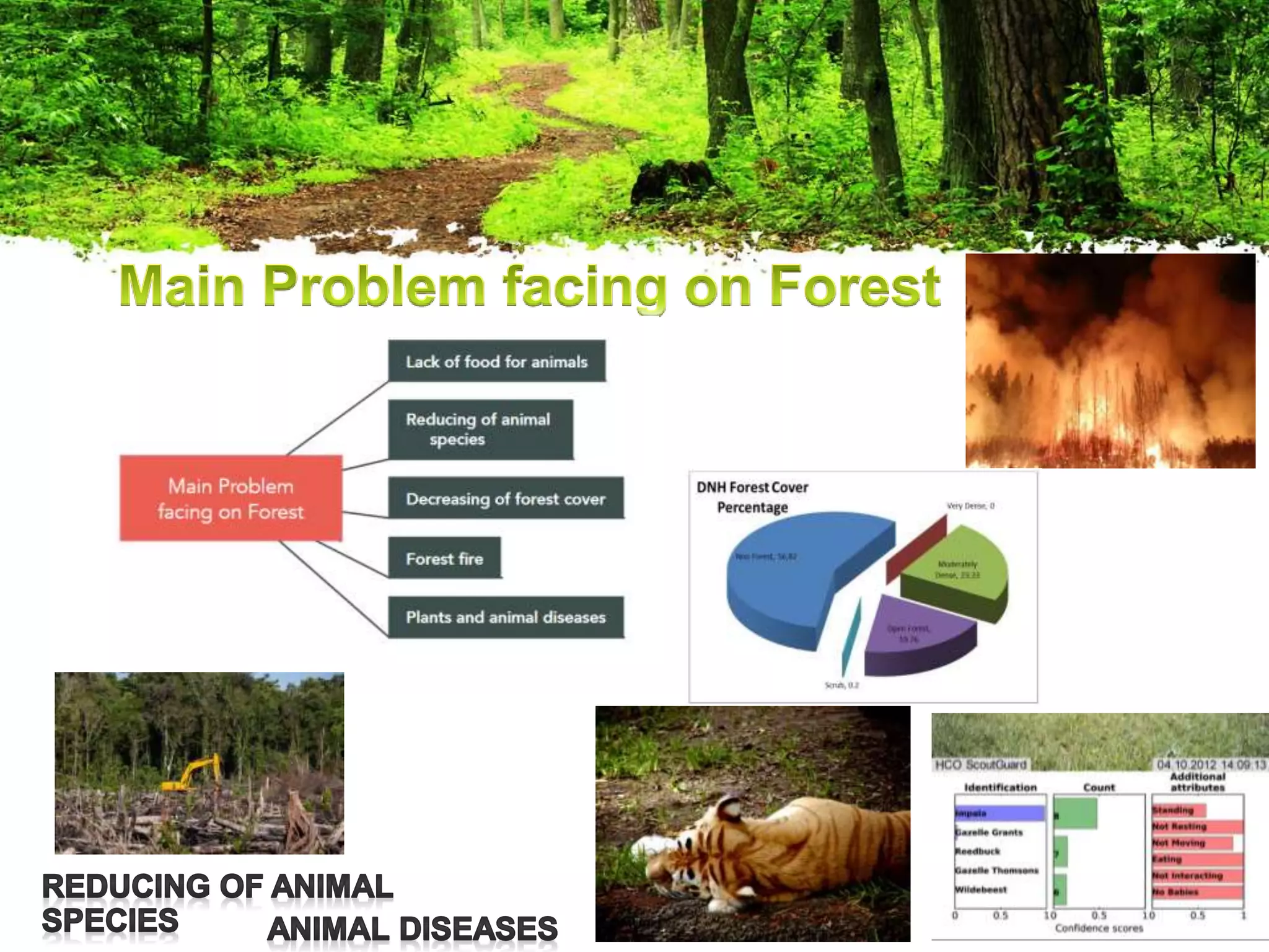 Forest conservation methods | PPTX