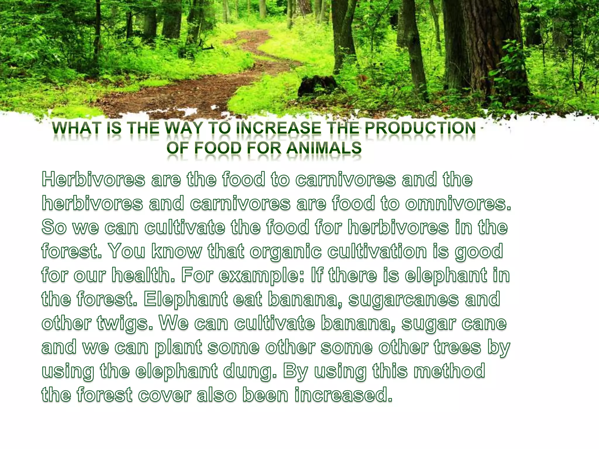 Forest conservation methods | PPTX