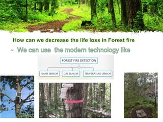 Forest conservation methods | PPT