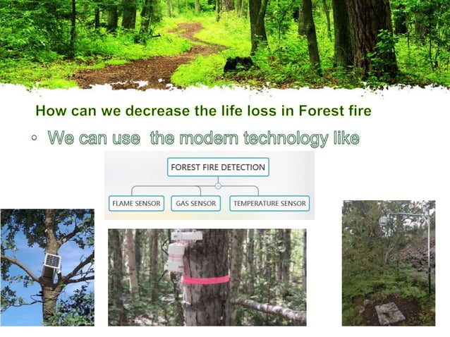 Forest conservation methods | PPT