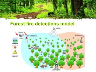 Forest conservation methods | PPT