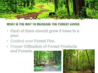 Forest conservation methods | PPT