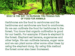 Forest conservation methods | PPT