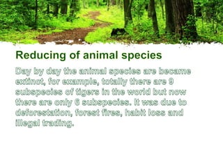 Forest conservation methods | PPT