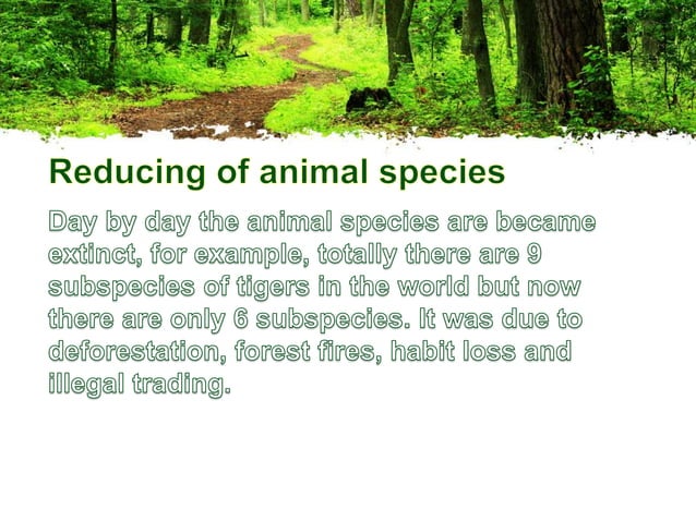 Forest conservation methods | PPT