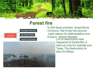 Forest conservation methods | PPTX