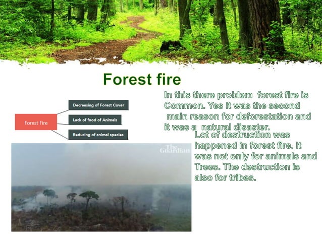 Forest conservation methods | PPTX