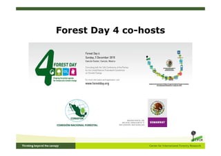 Forest Day 4 key messages | PPT