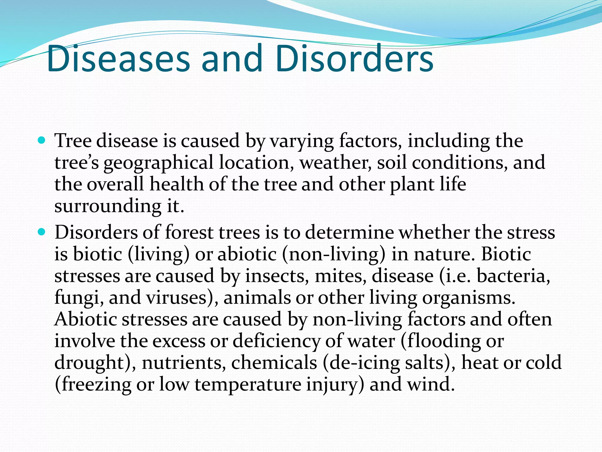 Forest diseases and disorders | PPTX