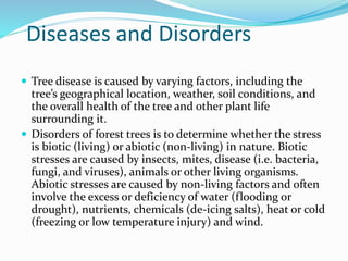 Forest diseases and disorders | PPTX