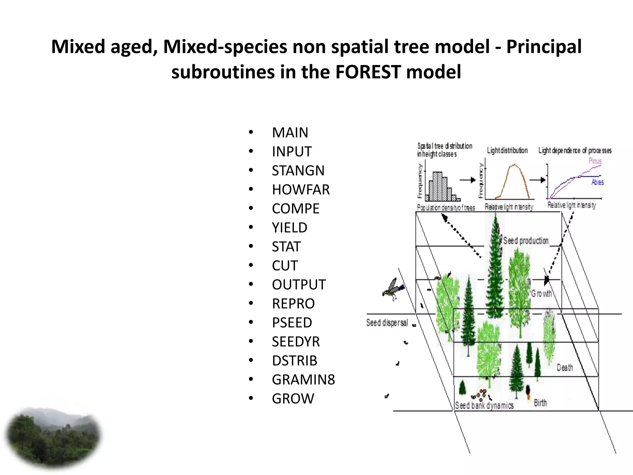 Forest dynamics | PPTX