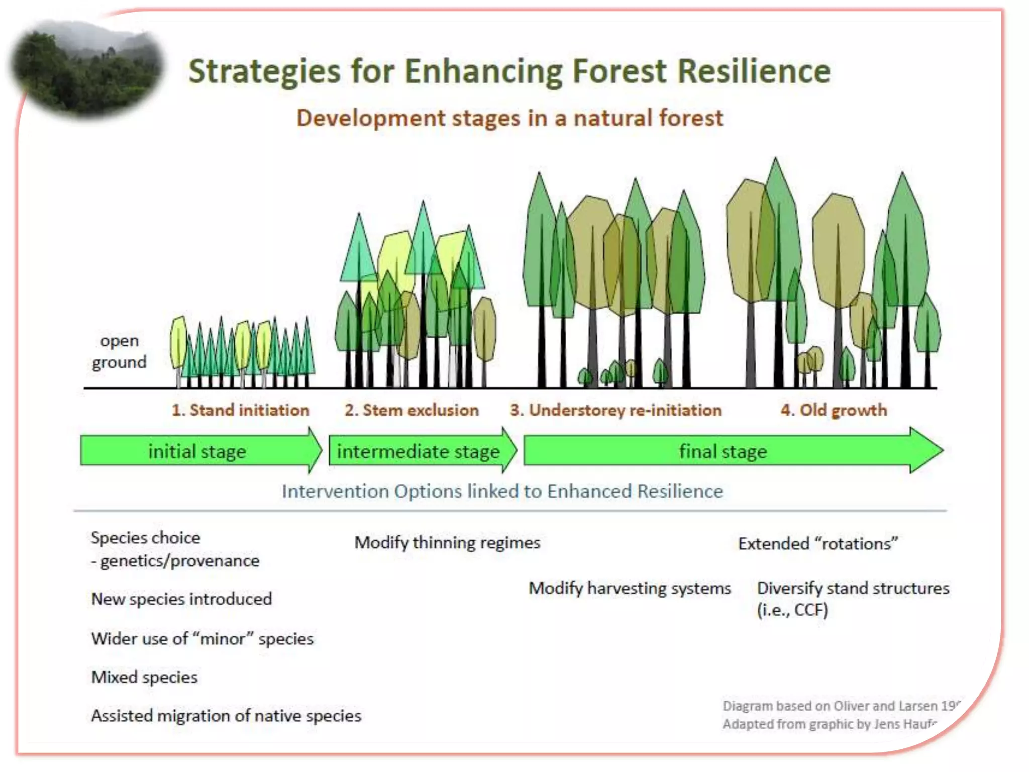 Forest dynamics | PPTX