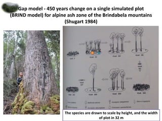 Forest dynamics | PPTX