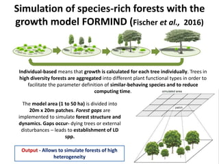 Forest dynamics | PPTX