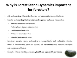 Forest dynamics | PPTX