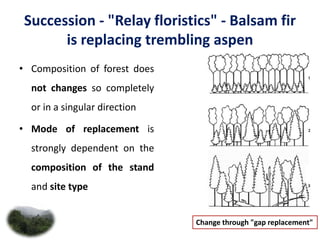 Forest dynamics | PPTX