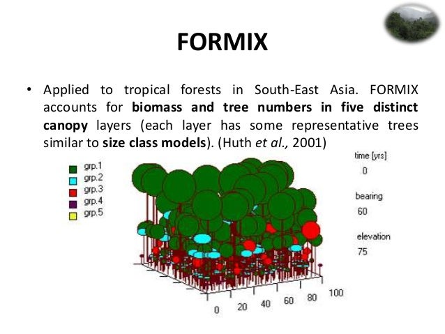 Forest dynamics