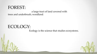 Forest ecology | PPTX