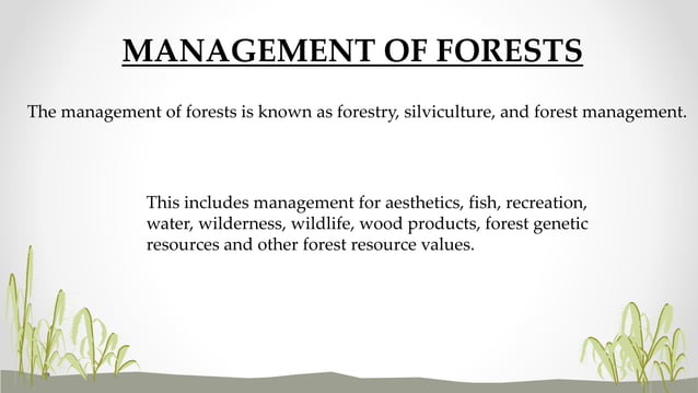 Forest ecology | PPTX | Agriculture | Industries