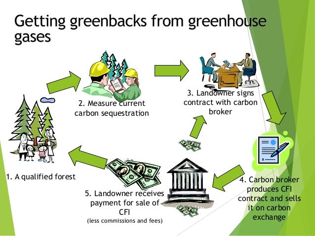 Forest Economics TCT 2016