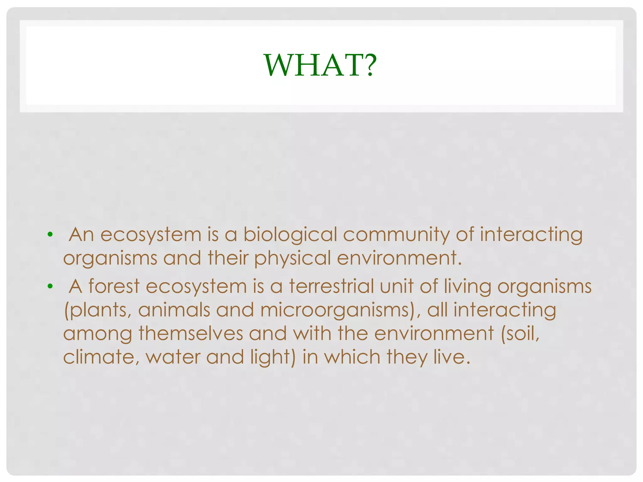 Forest Ecosystem | PPTX