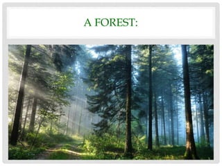 Forest Ecosystem | PPTX