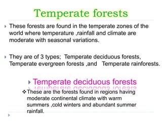 Forest ecosystem | PPTX