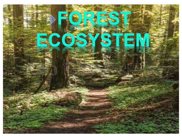 Forest ecosystem | PPTX