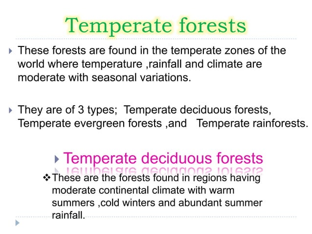 Forest ecosystem | PPT